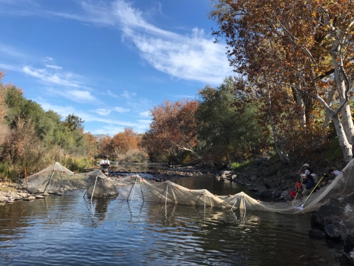 Fisheries Services - Sequoia Ecological Consulting, Inc