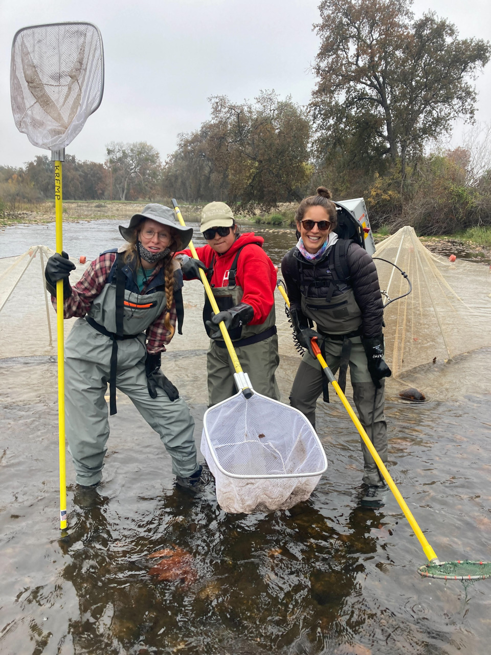 Careers at Sequoia - Sequoia Ecological Consulting, Inc